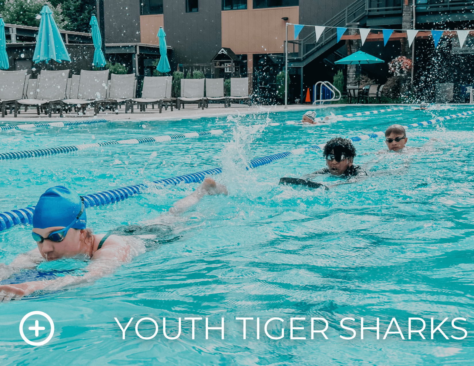 Swimming | Stafford Hills Club